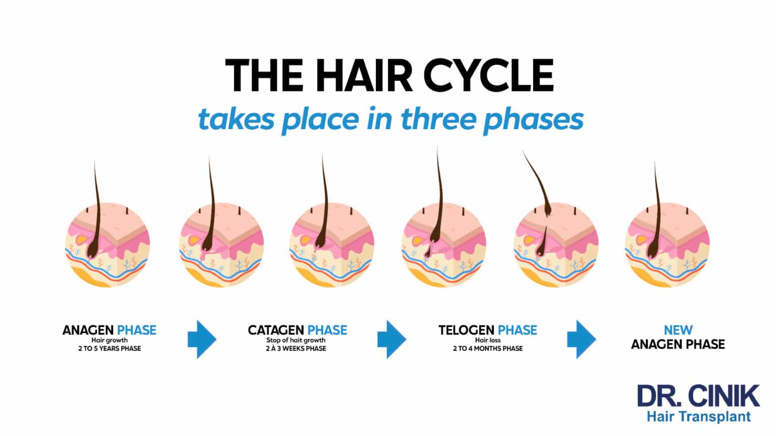 Hair Loss and Feeling Tired: Everything You Need to Know | Dr Cinik